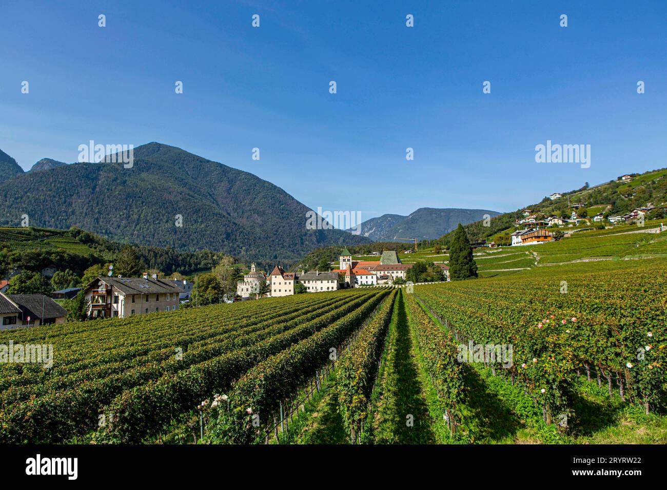 Das Kloster Neustift auch Stift Neustift ist ein Stift der Kongregation ...