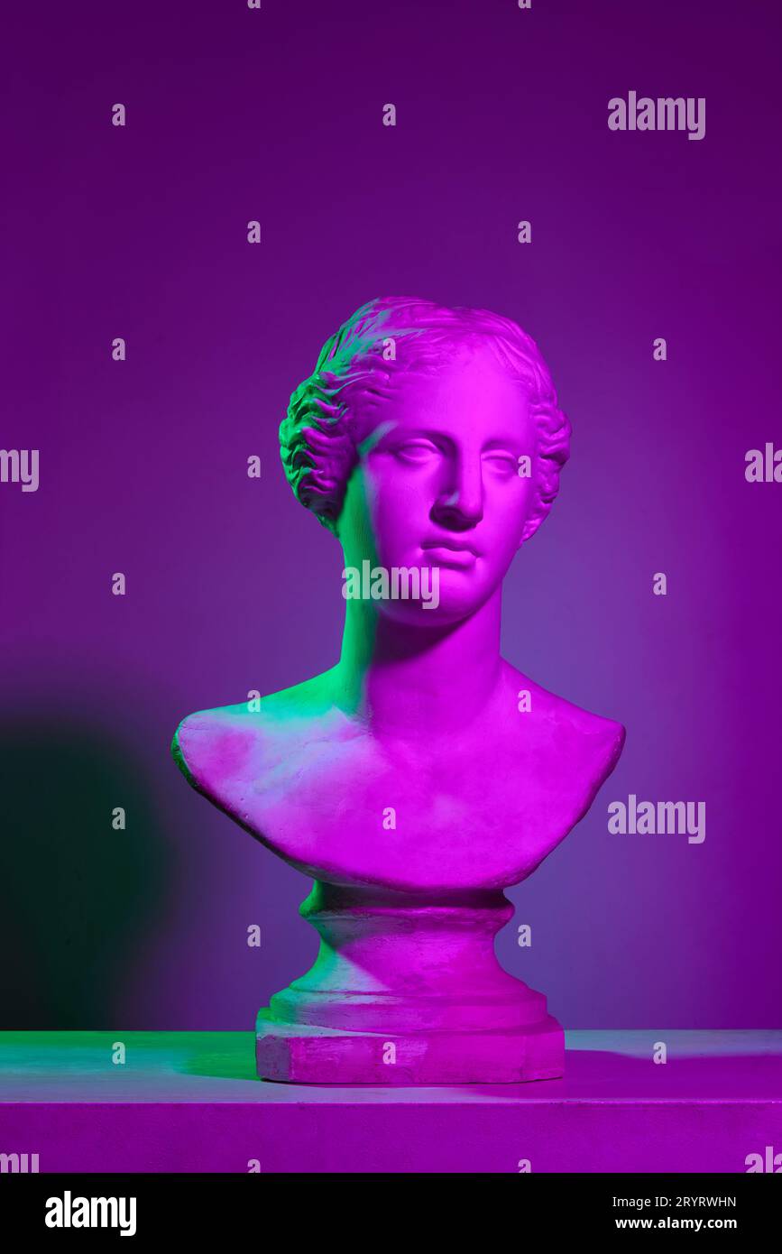 Gypsum copy of plaster bust of antique statue, Venus against purple ...