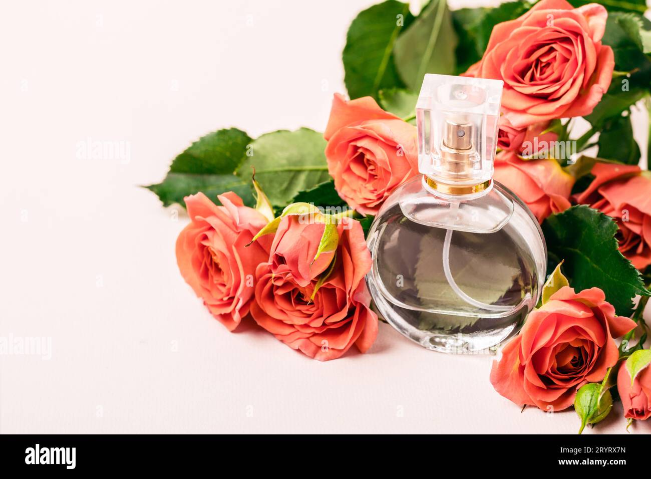 Perfume branding hi-res stock photography and images - Alamy