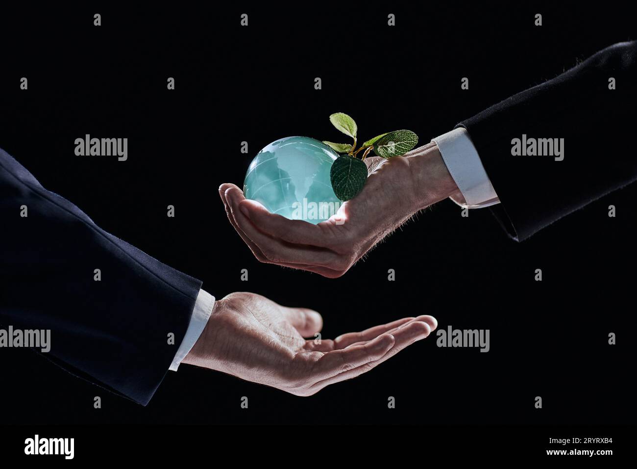 Plabt Growing inside a Sphere - Hand Holding - Eco Concept Stock Photo ...