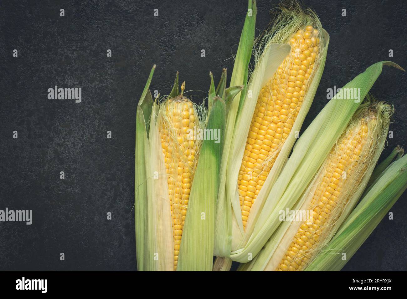 Ripe young sweet corn cob with leaves on black concrete background ...
