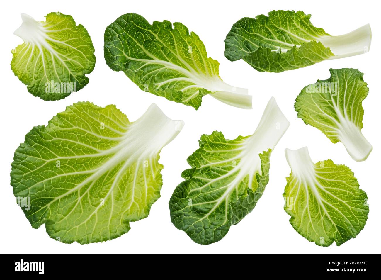 Bok Choy isolated on white background, Chinese cabbage Stock Photo - Alamy
