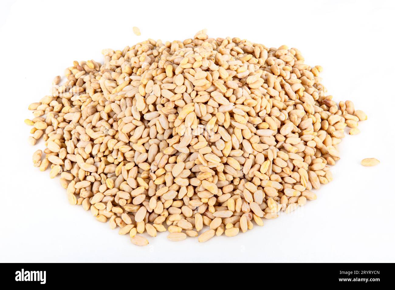 Organic pine nuts, bulk and fresh shelled pine nuts individually ...