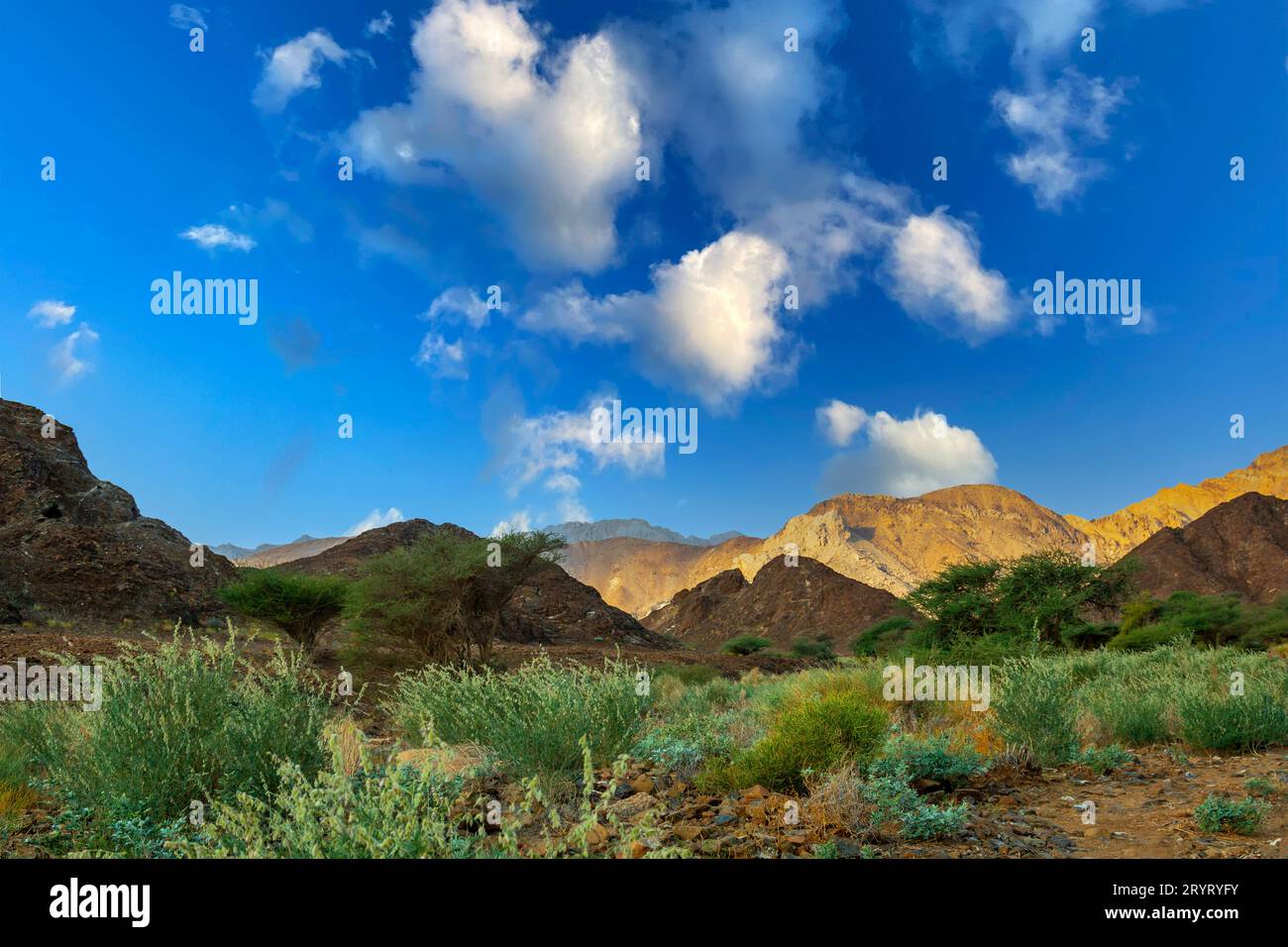 Scenic landscape of mountains and clouds view during sunrise from Ras ...