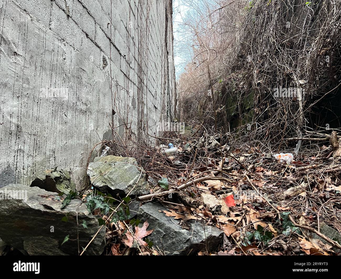 A pile of garbage and vegetation on the ground next to a wall of an old ...