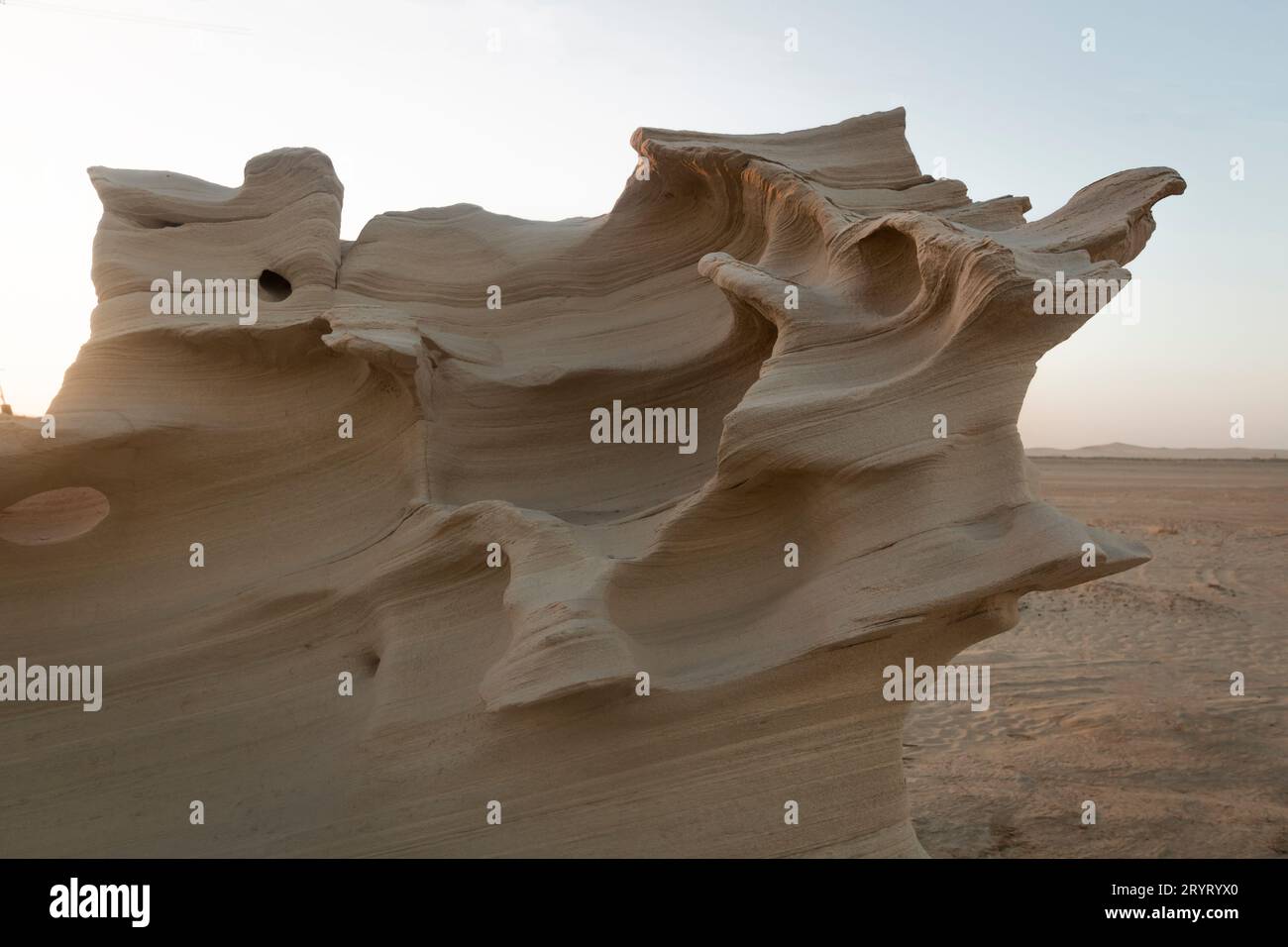 Fossil rocks Dunes from UAE deserts Stock Photo - Alamy