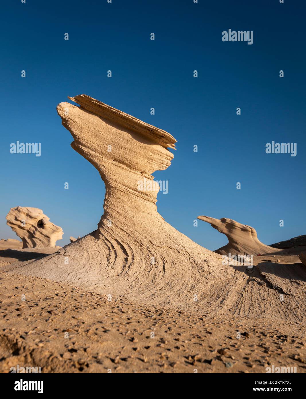 Abu dhabi fossil dunes hi-res stock photography and images - Alamy