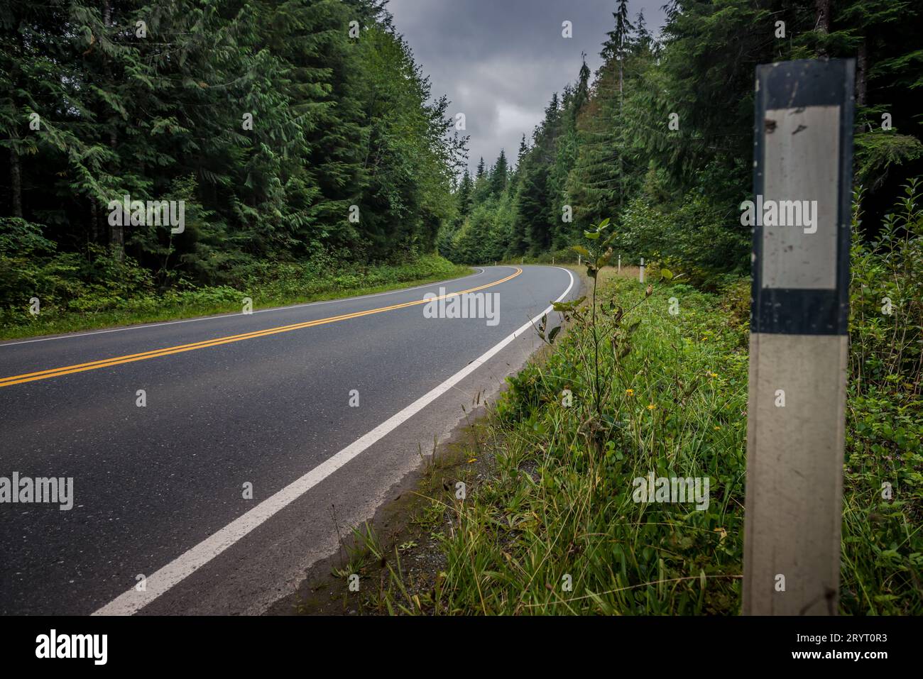 A scenic road with a bright yellow centerline winding through a lush ...