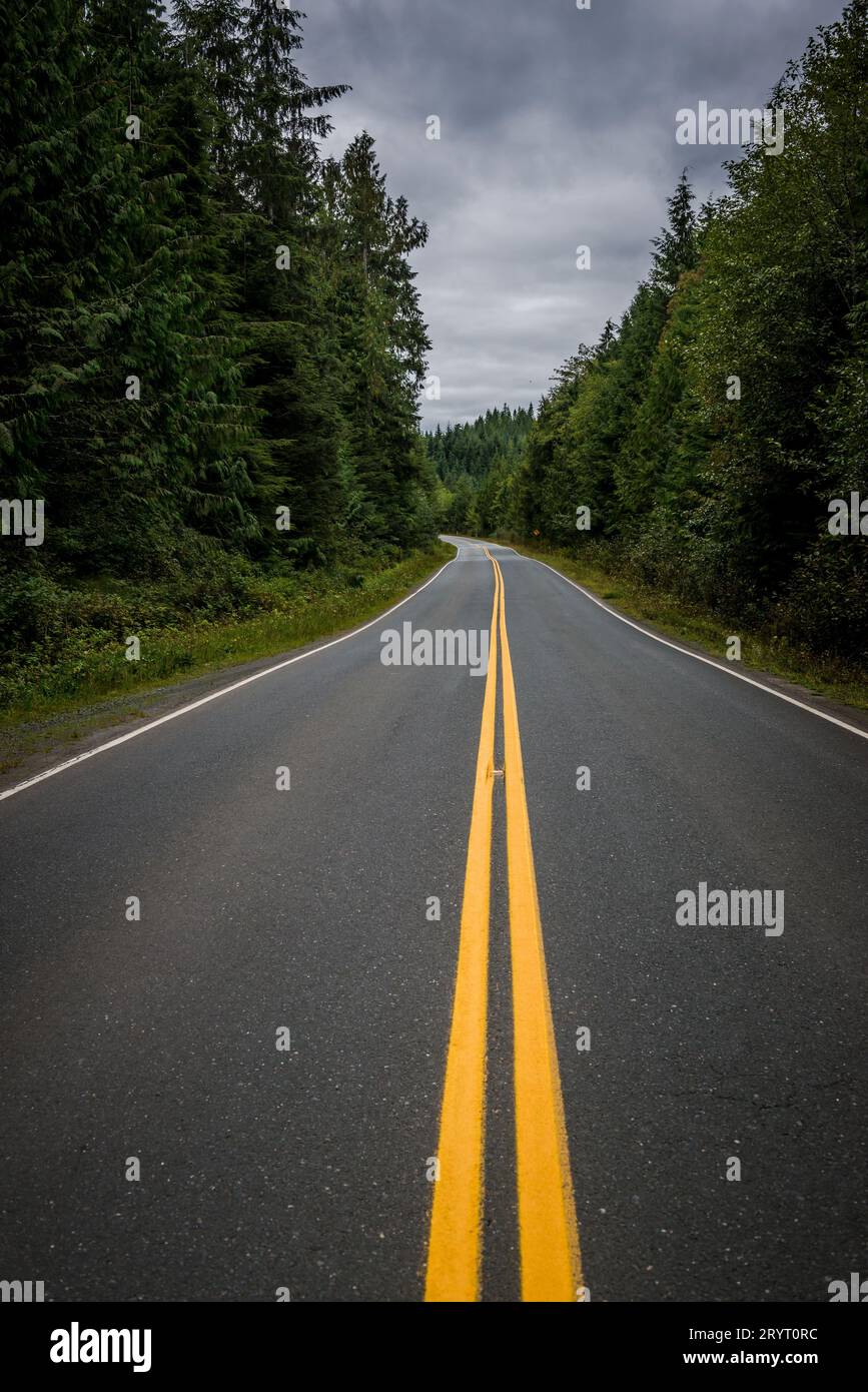 A scenic road with a bright yellow centerline winding through a lush ...