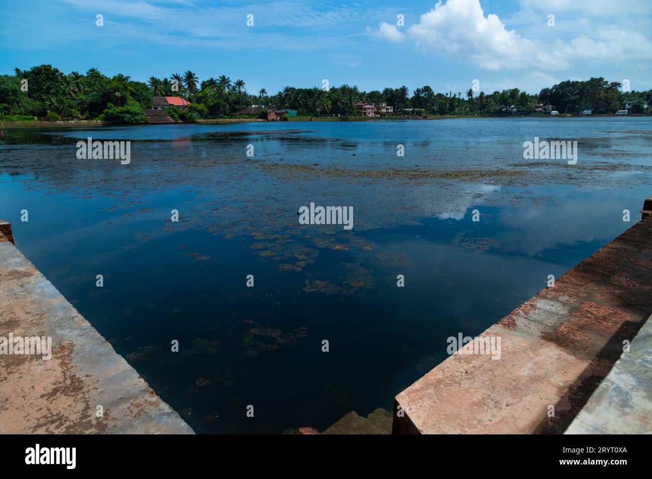 Huge temple pond from Kannur, Kerala Stock Photo - Alamy