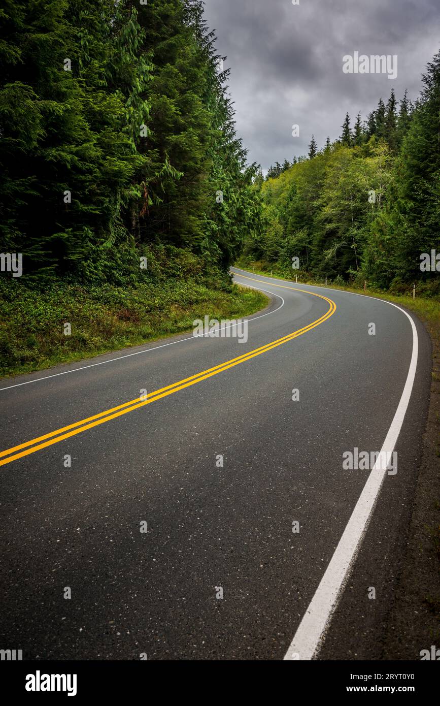 A scenic road with a bright yellow centerline winding through a lush ...