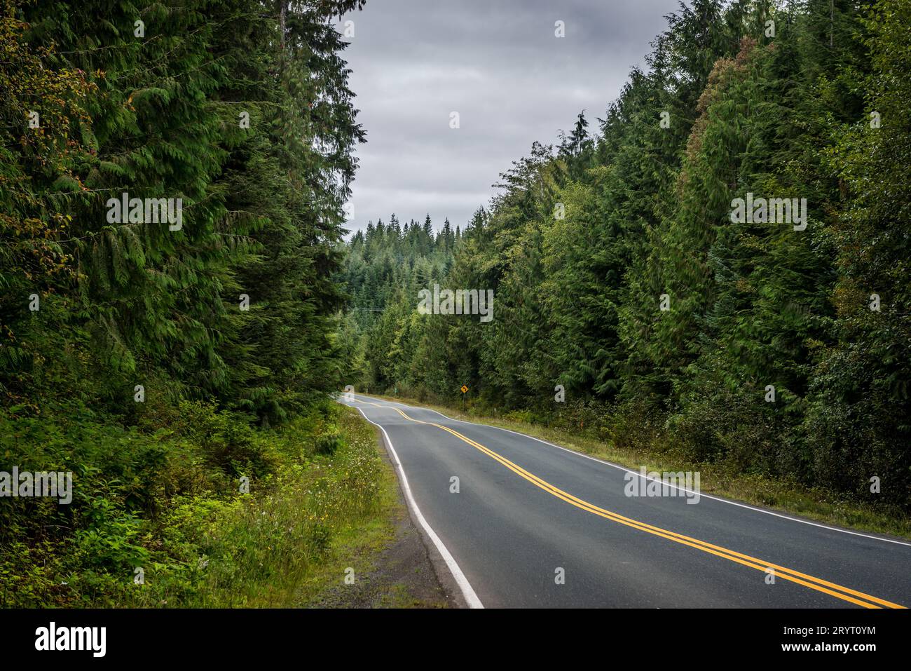 Centerline hi-res stock photography and images - Alamy