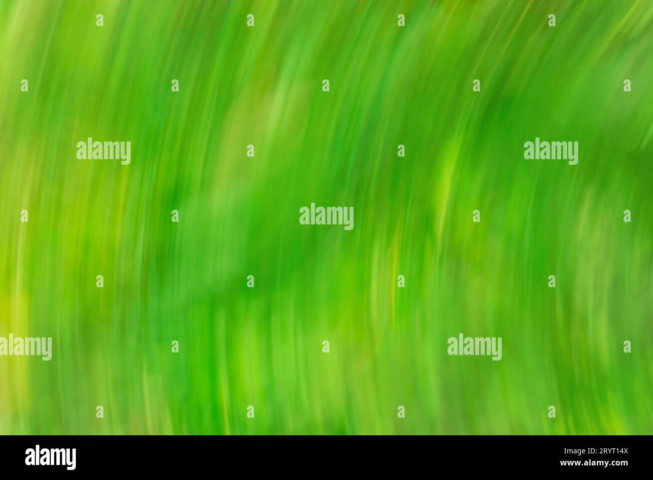 Out of focus effect hi-res stock photography and images - Alamy