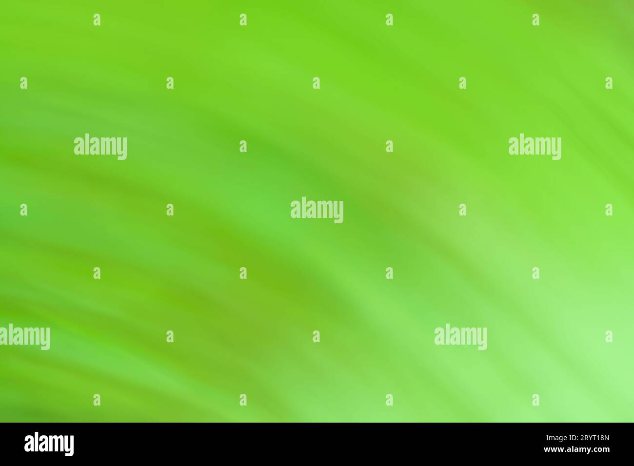 Abstract gradient green blurred colorful background. Vibrant green ...