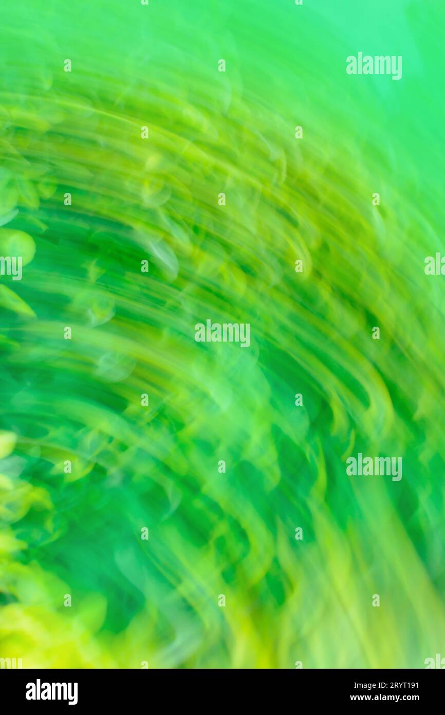 Green art blurred bokeh sparks flying background with motion effect. Green abstract flowing ...