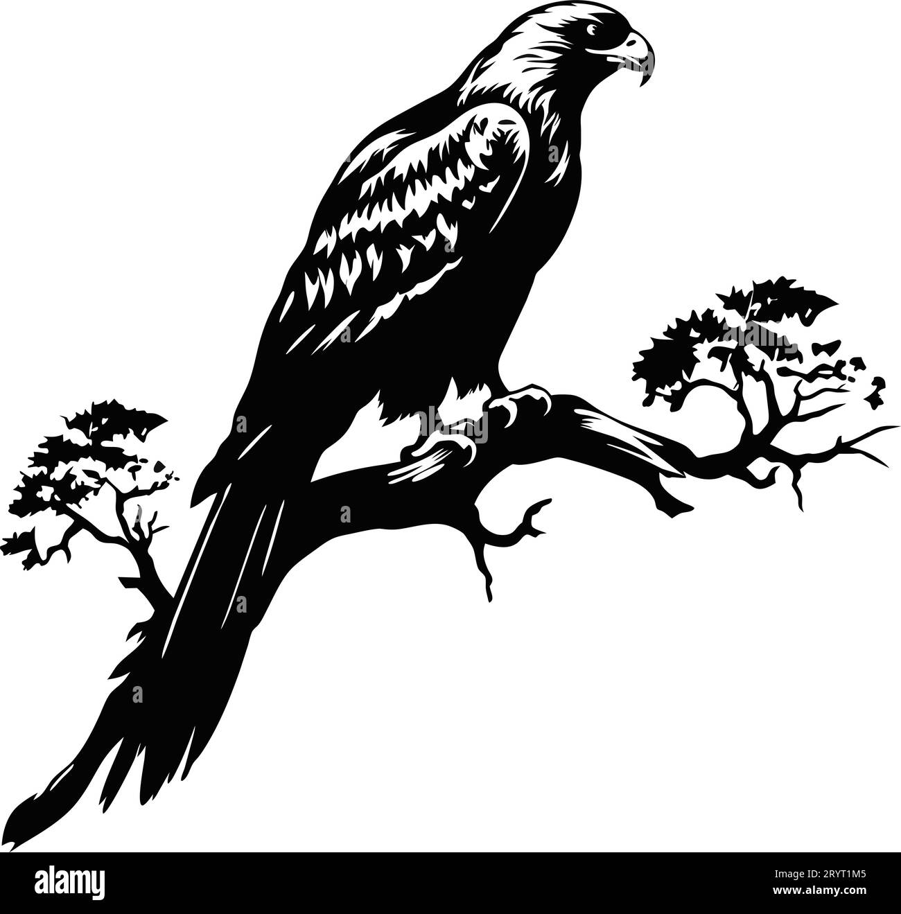 Vector illustration of a black silhouette of a standing eagle. Isolated ...