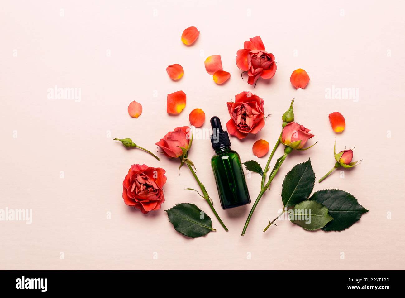 Essence rose oil, rosebuds and leaves on a pink background Stock Photo ...