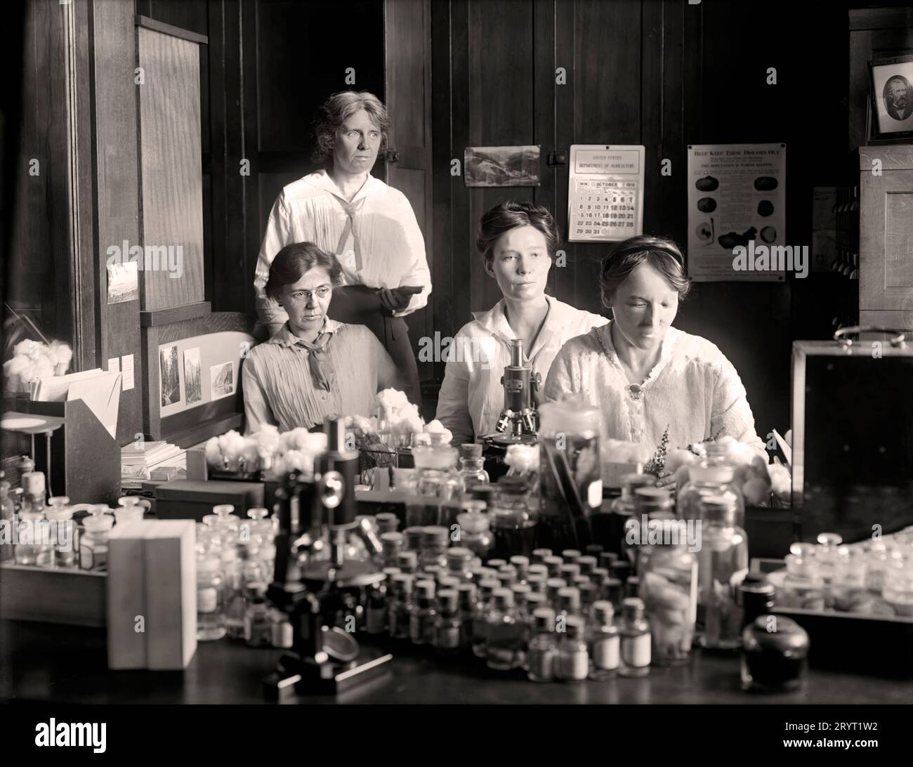 Culture di laboratorio hi-res stock photography and images - Alamy