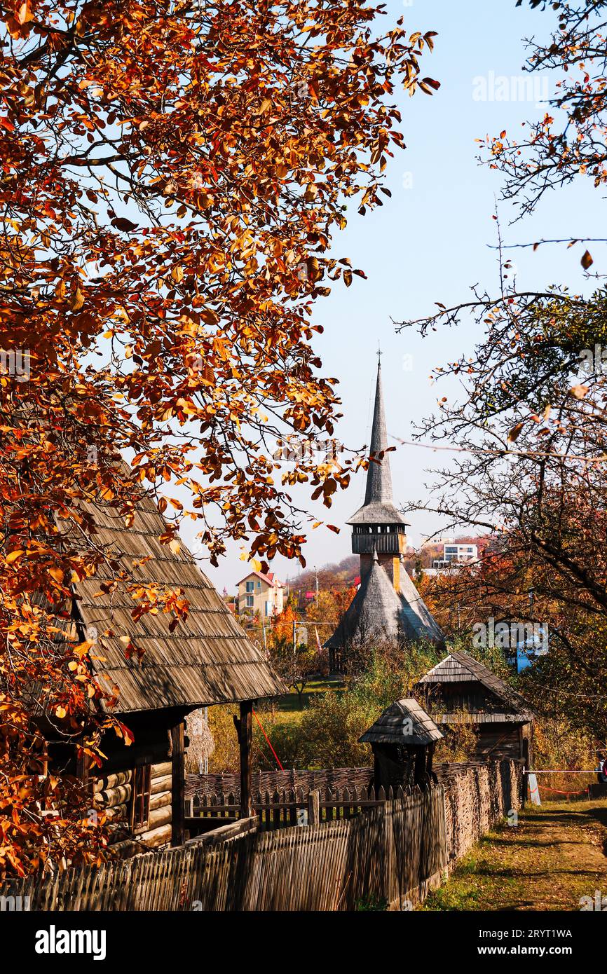 Wooden church in the distance and between autumn colored trees in ...