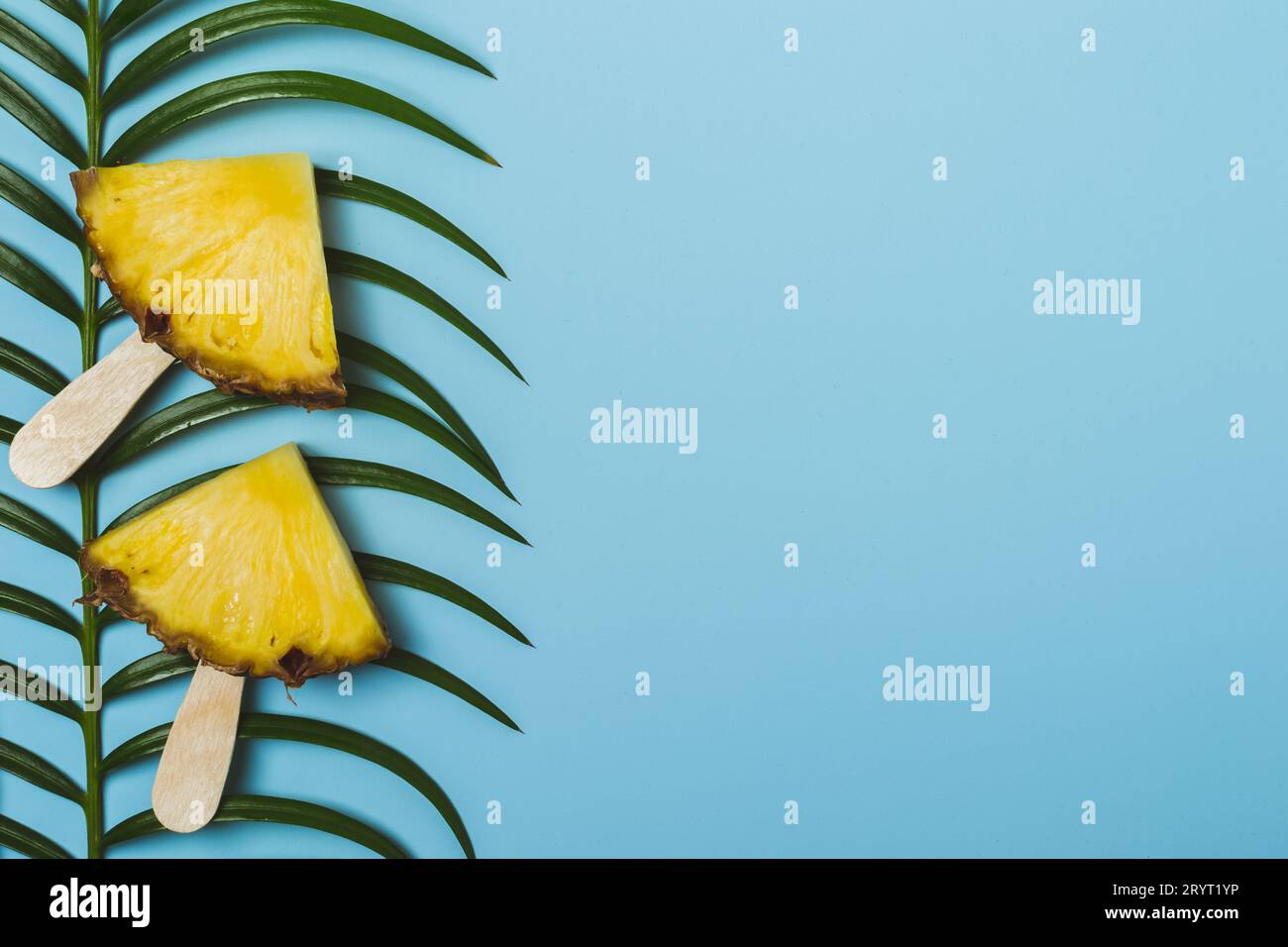 Pineapple slices and palm branch on a blue background Stock Photo - Alamy