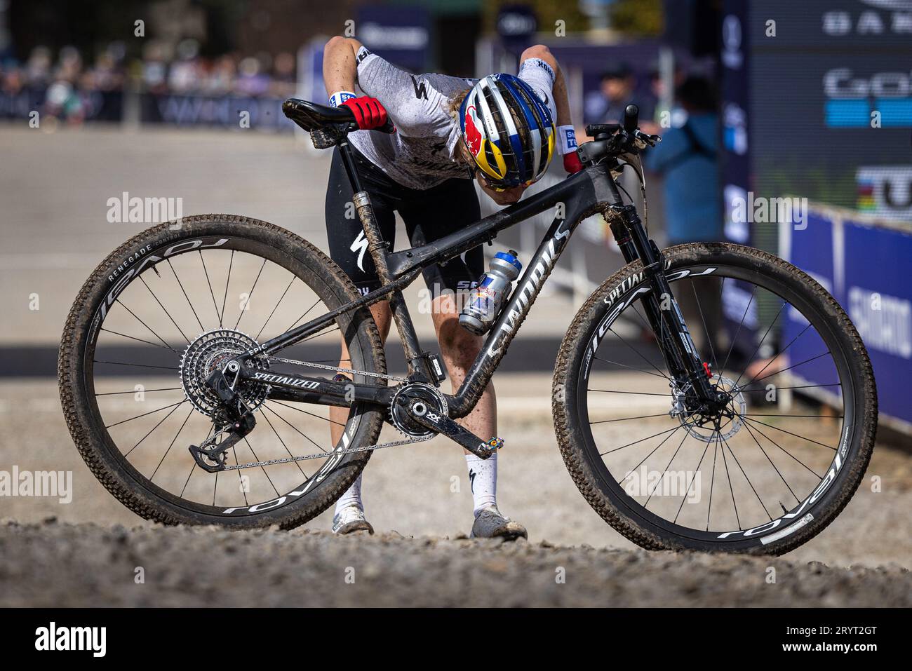 Laura stigger hi-res stock photography and images - Alamy