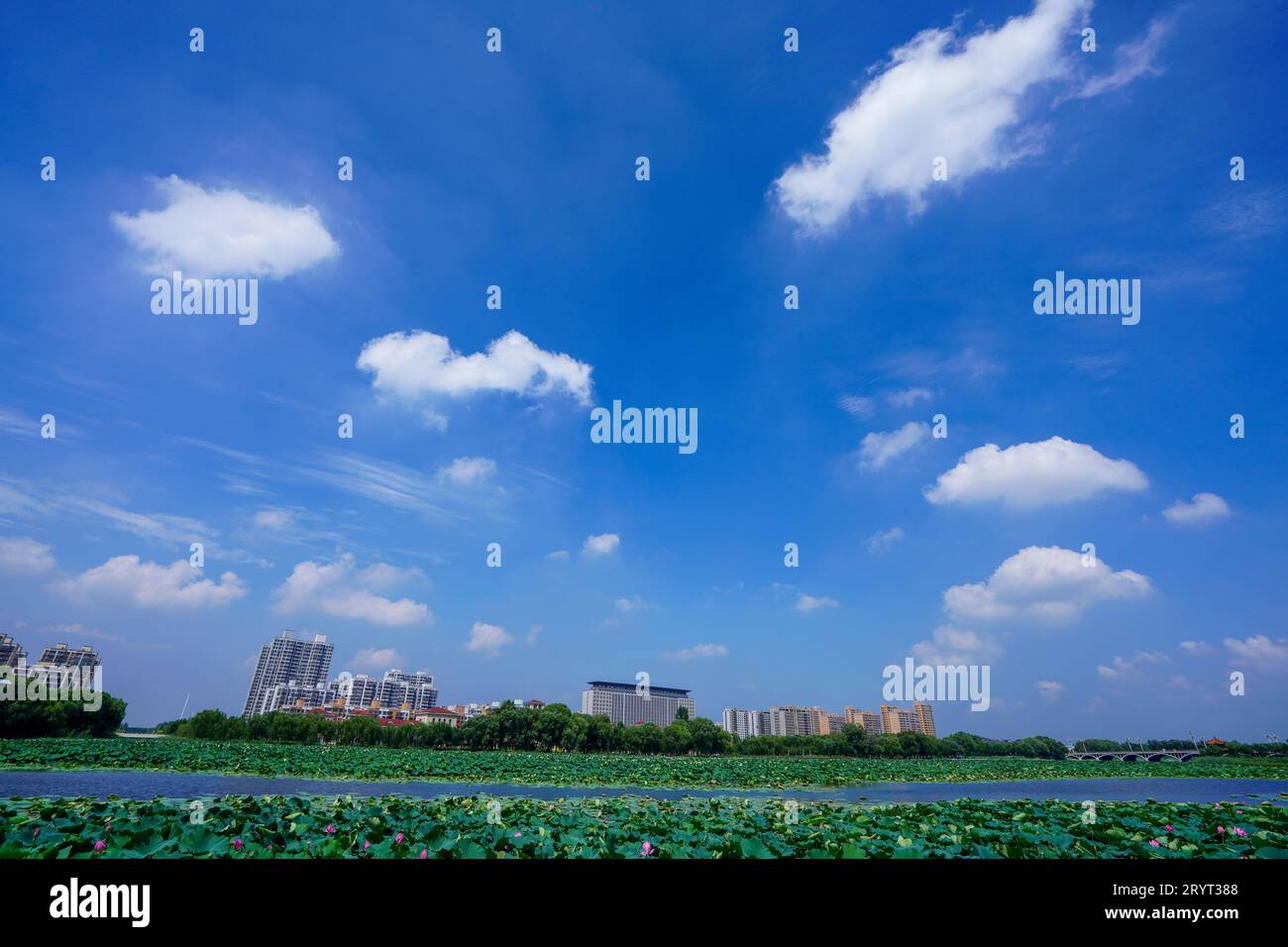 Waterfront City Scenery, North China Stock Photo - Alamy