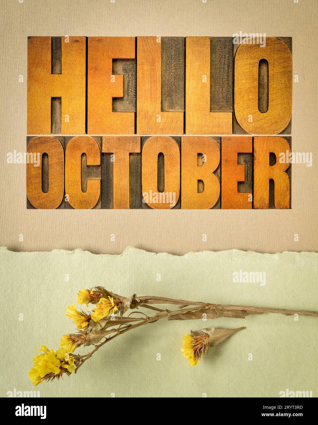 Hello October - word abstract in vintage letterpress wood type on art ...