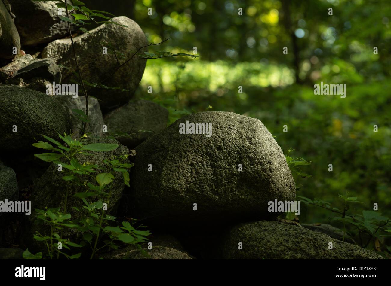Lush green valley surrounded wooded hi-res stock photography and images ...