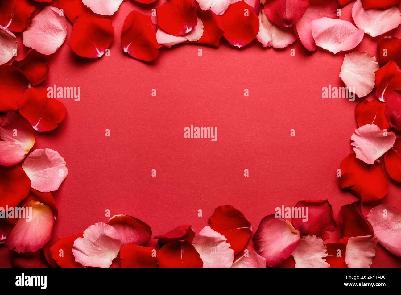Love romantic background. Frame of rose petals on a red background ...
