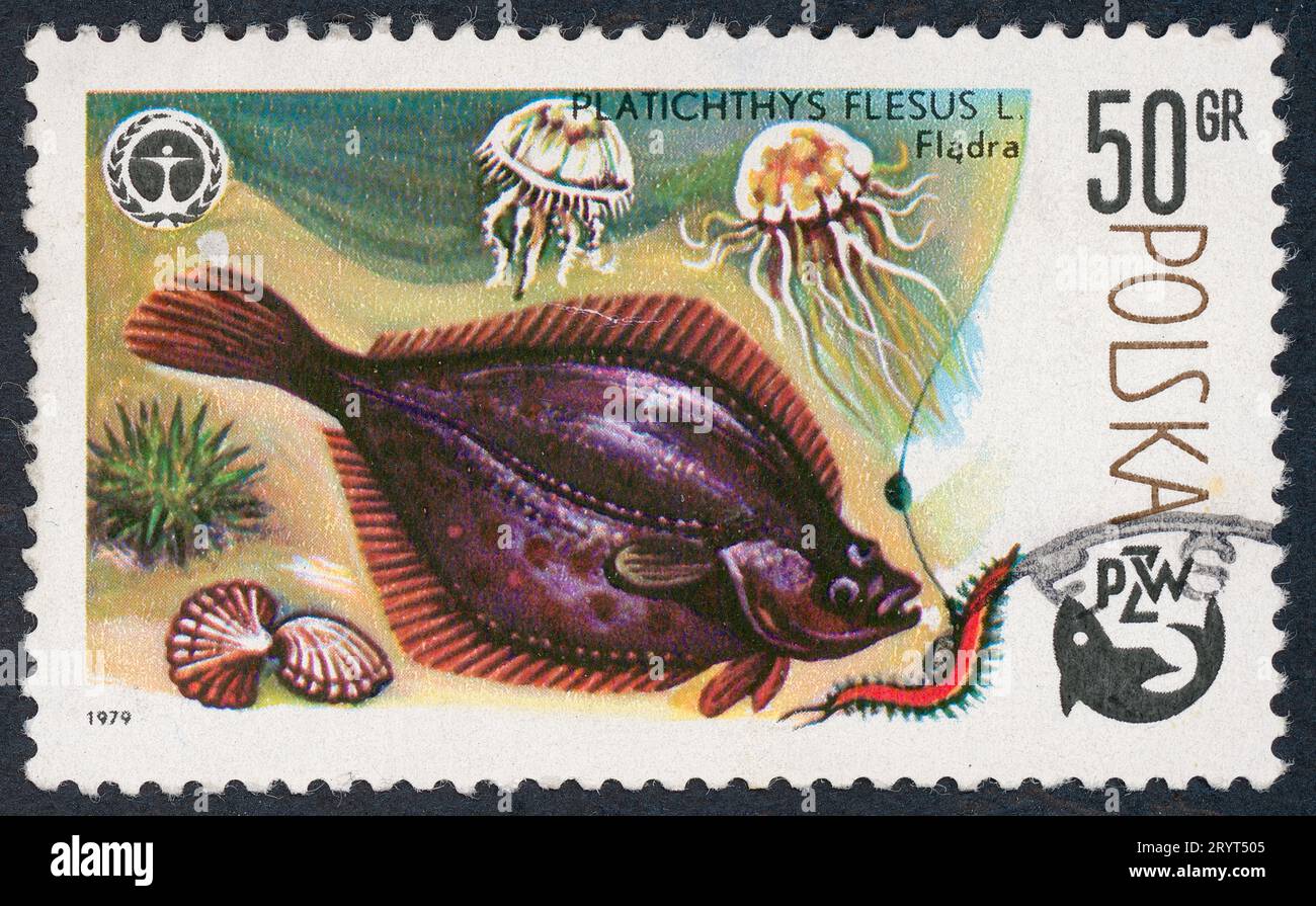 The European flounder (Platichthys flesus). Postage stamp issued in ...