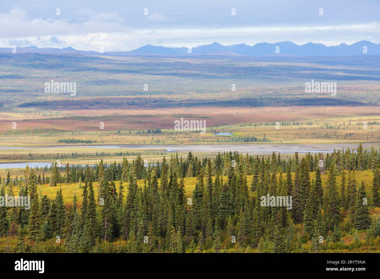 Hiking in the tundra zone in the polar region of Alaska Stock Photo - Alamy