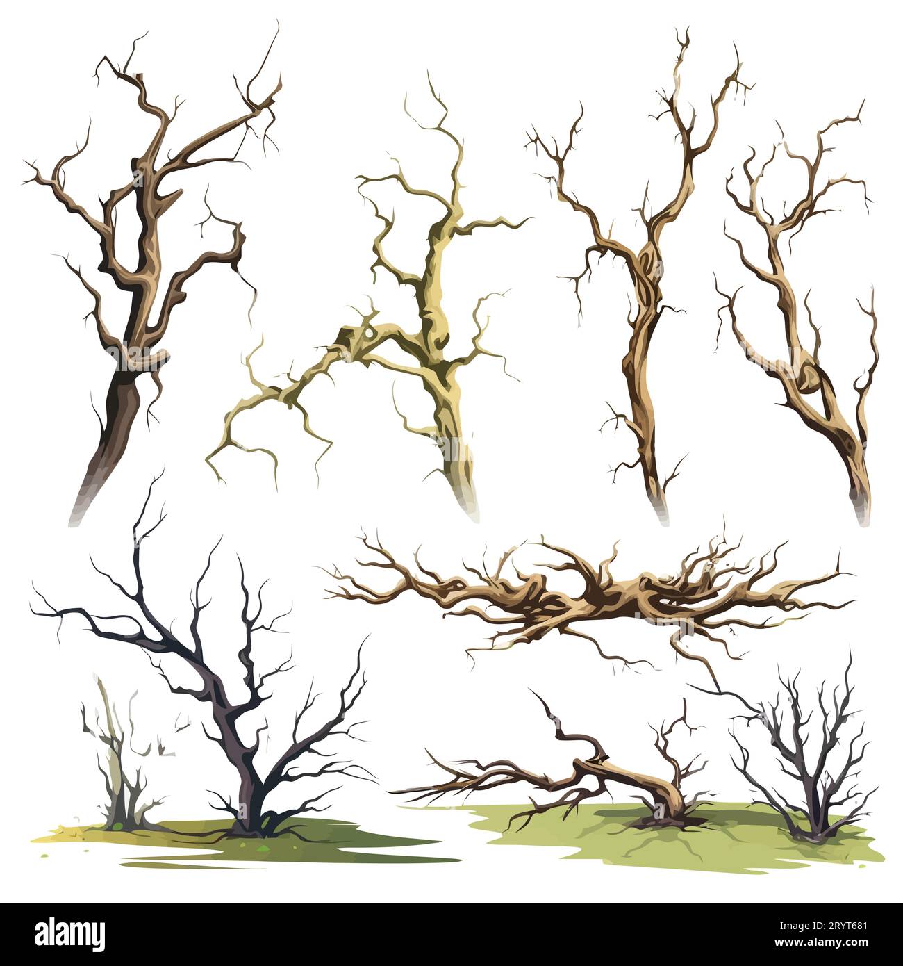 Overgrown forest Stock Vector Images - Alamy