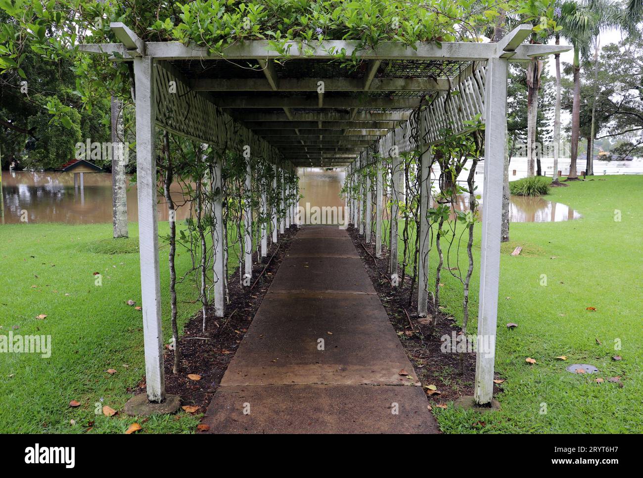 A walkway with a flooded area in the background in Maryborough ...