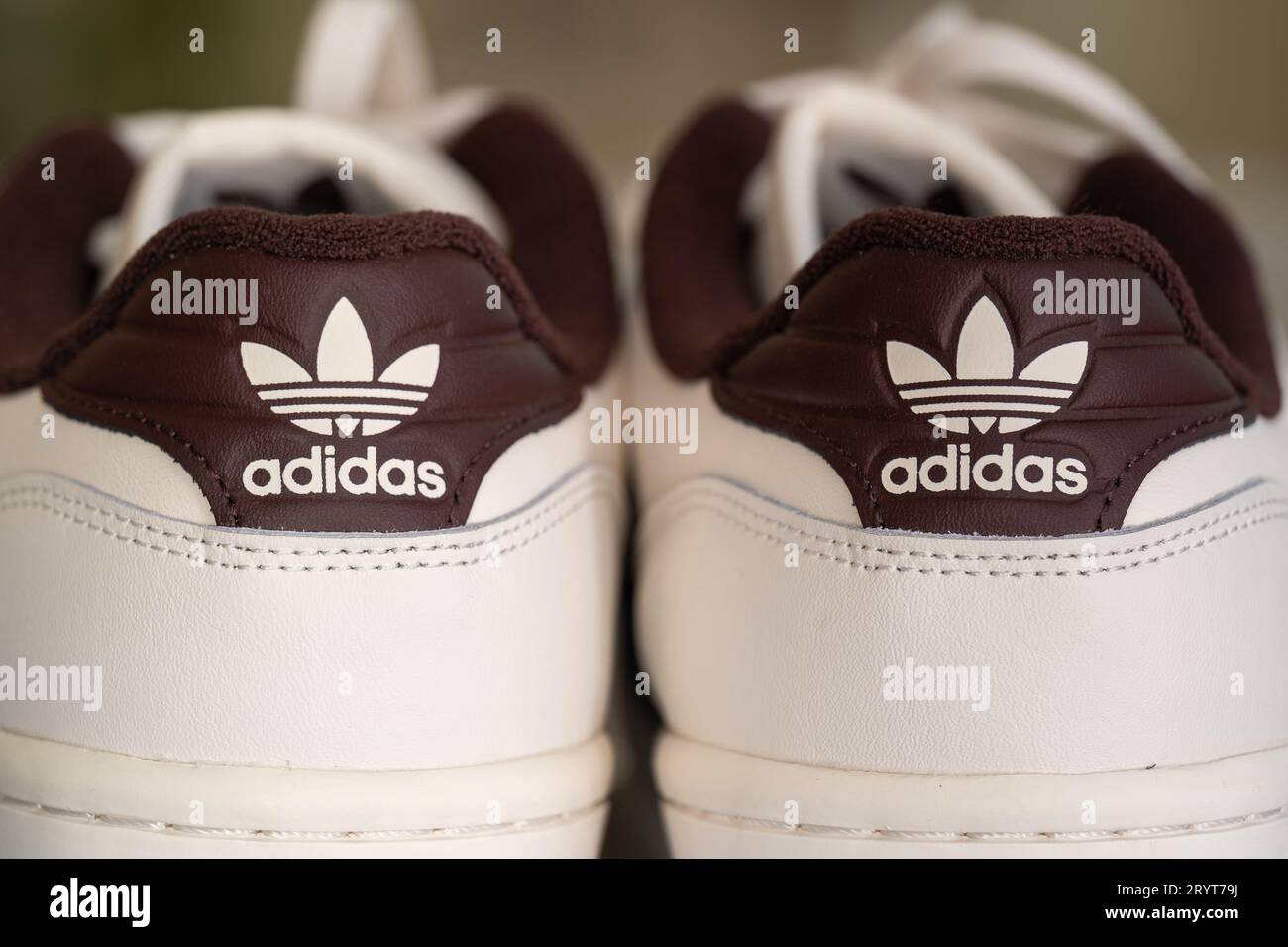 Doha, Qatar - October 2, 2023: Adidas Rivalry Low sneaker. Retro '80s ...