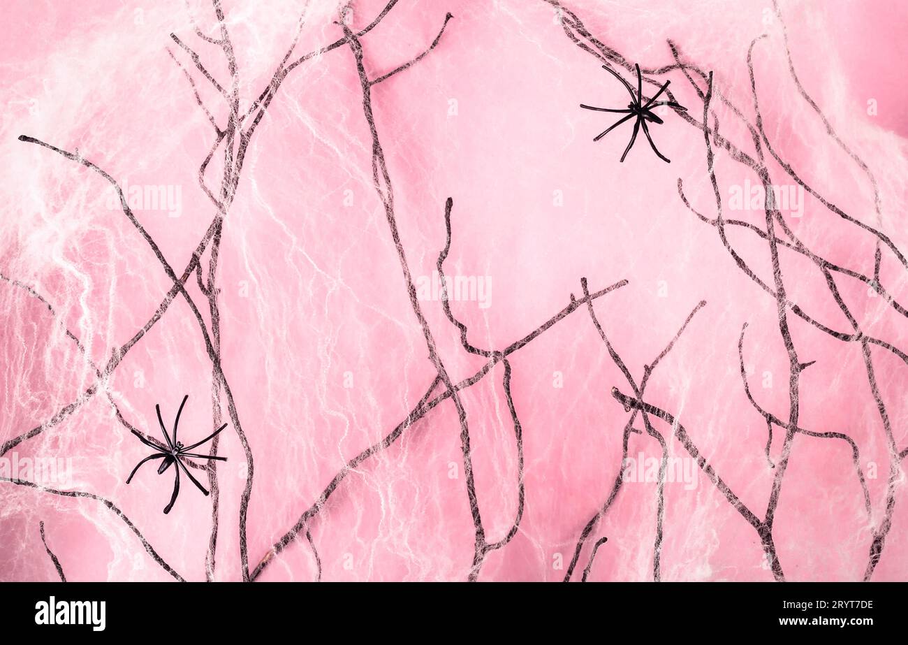 Halloween decorations scary branches and cobwebson on pastel pink ...