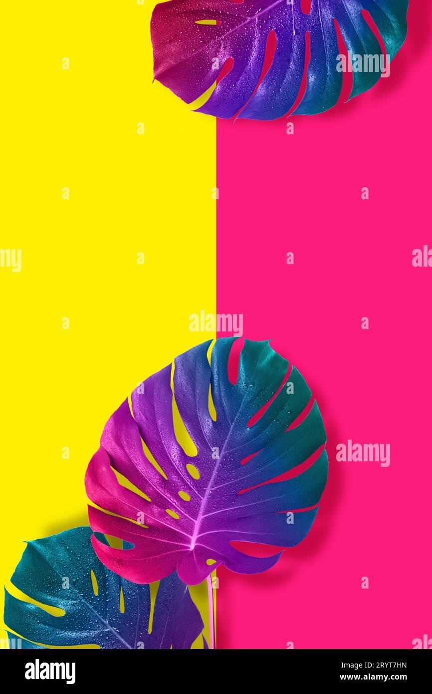 Tropical multicolored gradient monster leaves Stock Photo - Alamy