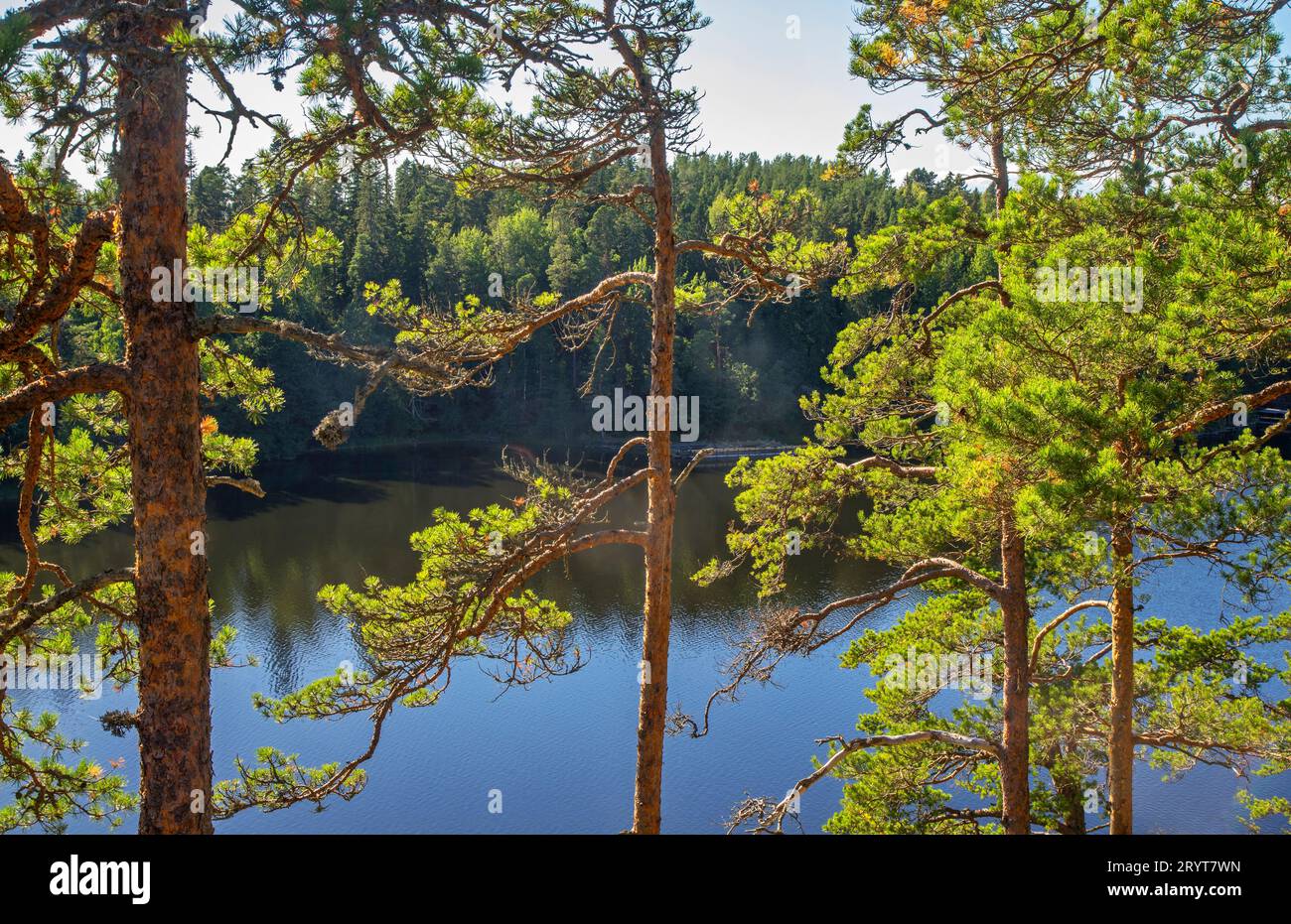 Landscape from Mount Olivet at Valaam island. Republic of Karelia ...