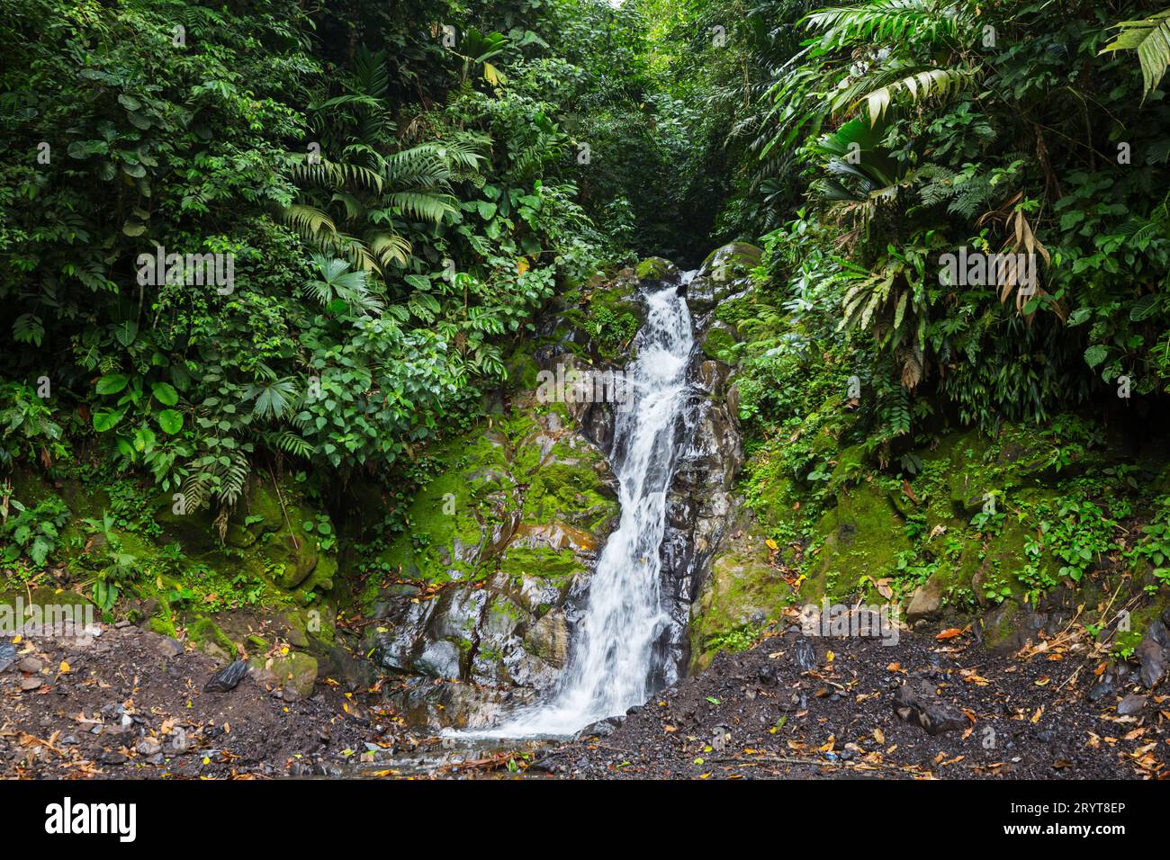 Amazon rainforest colombia aerial hi-res stock photography and images ...