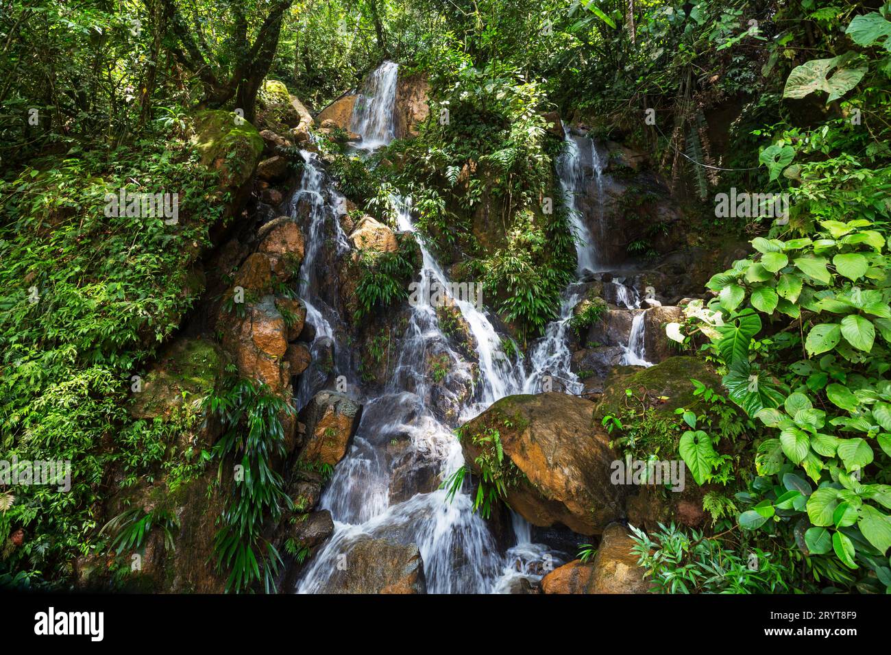 Waterfall in Colombia Stock Photo - Alamy