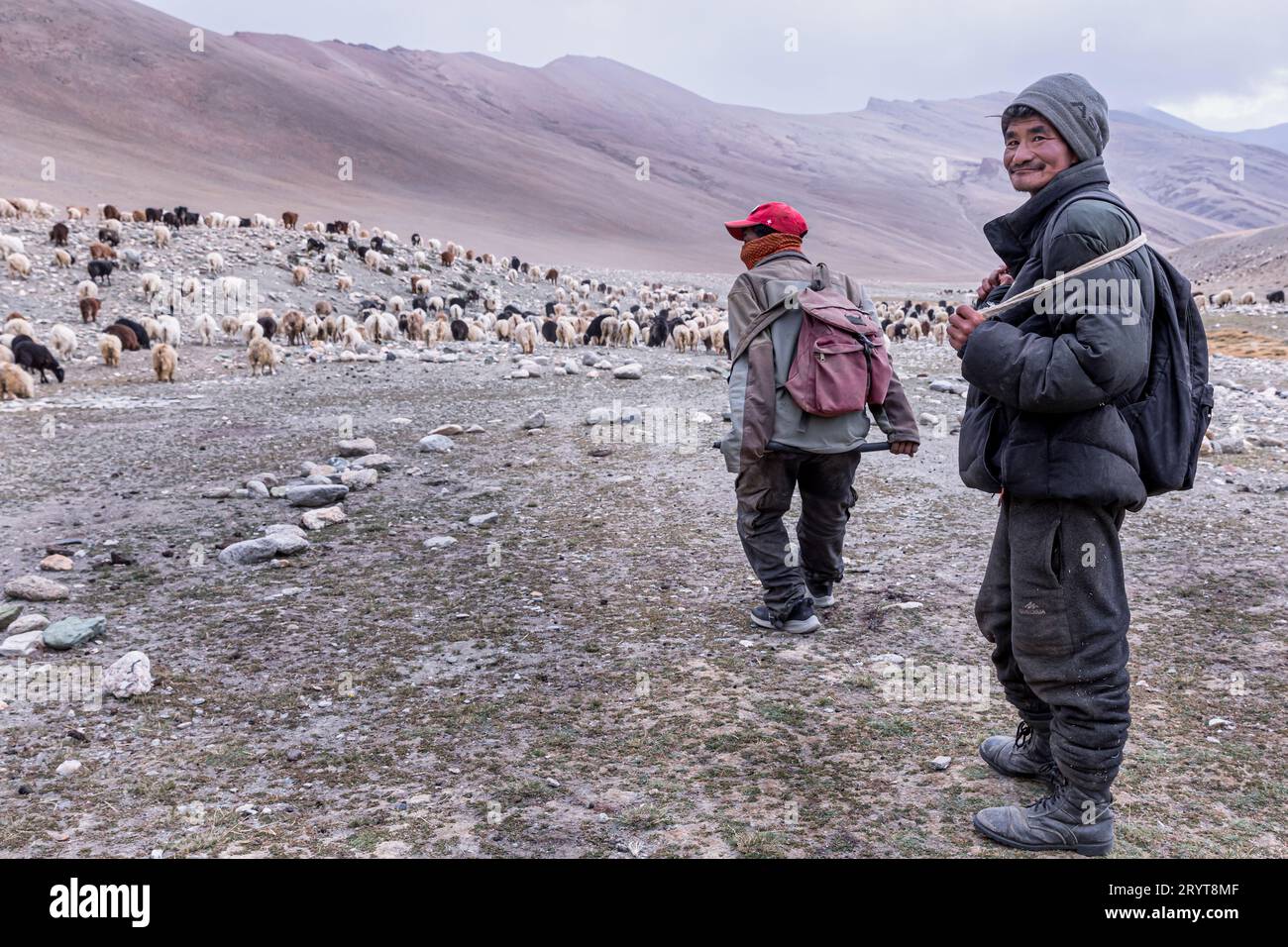 Two goat headers from the Changpa nomadic people, Debring, Ladakh ...