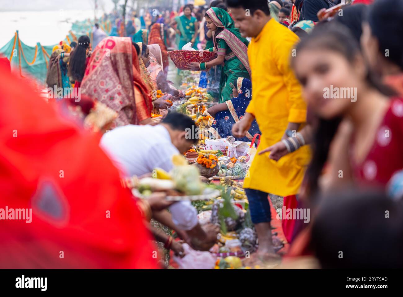 Chhath Puja, Indian hindu female devotee performing rituals of chhath ...
