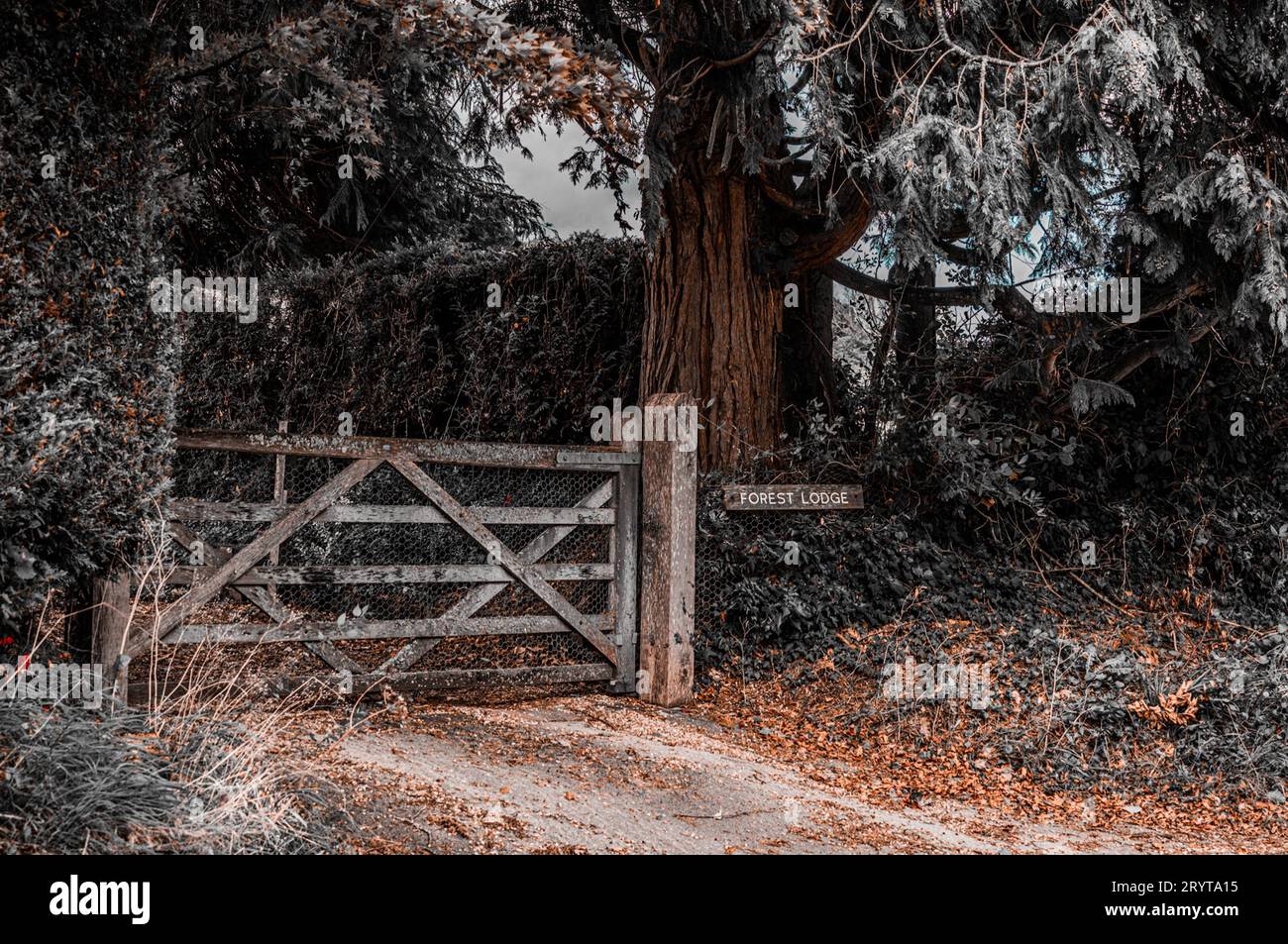 A deserted pathway with a wooden gate blocking the entrance Stock Photo ...