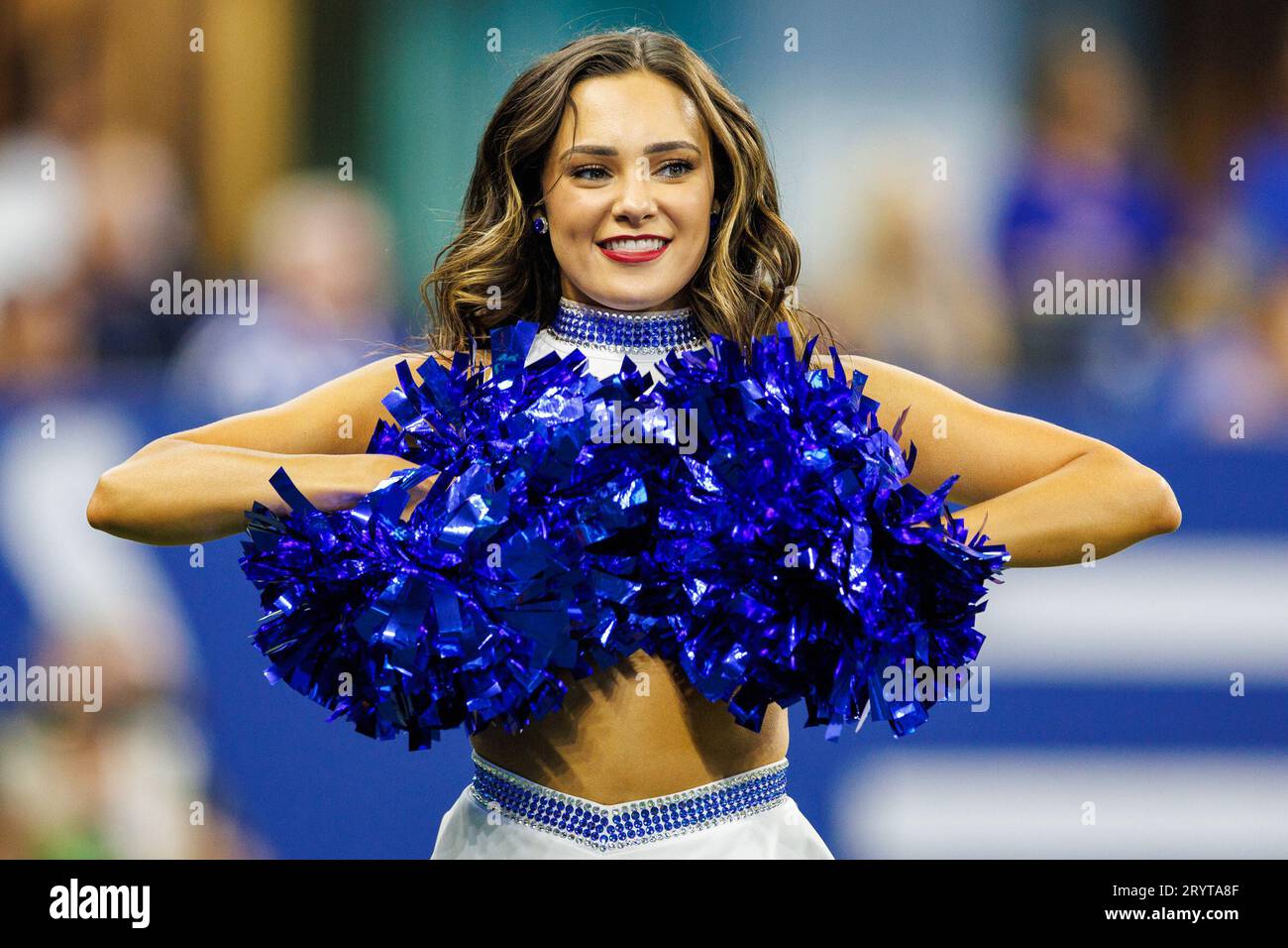 Nfl cheerleaders rams hi-res stock photography and images - Alamy