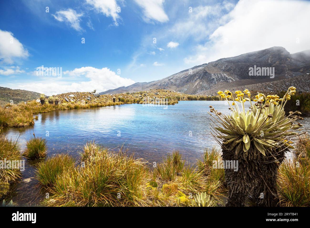 El cocuy national park hi-res stock photography and images - Alamy