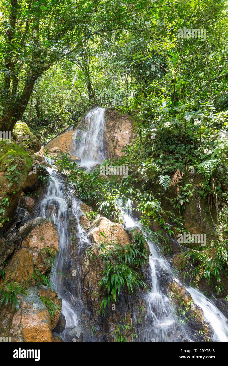 Amazon rainforest colombia aerial hi-res stock photography and images ...