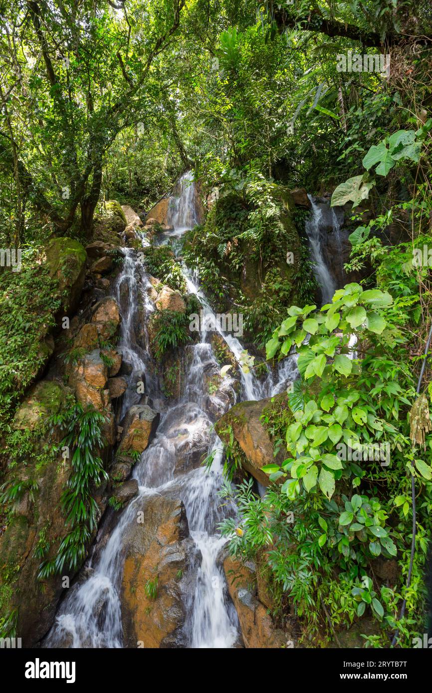 Amazon rainforest colombia aerial hi-res stock photography and images ...
