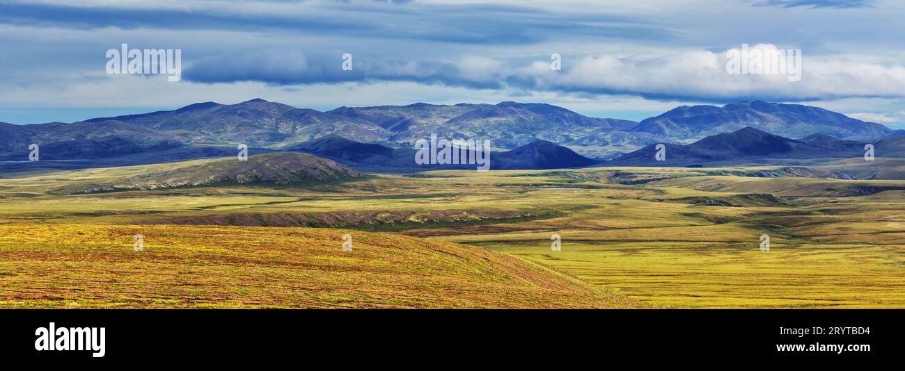 Tundra landscapes hi-res stock photography and images - Alamy