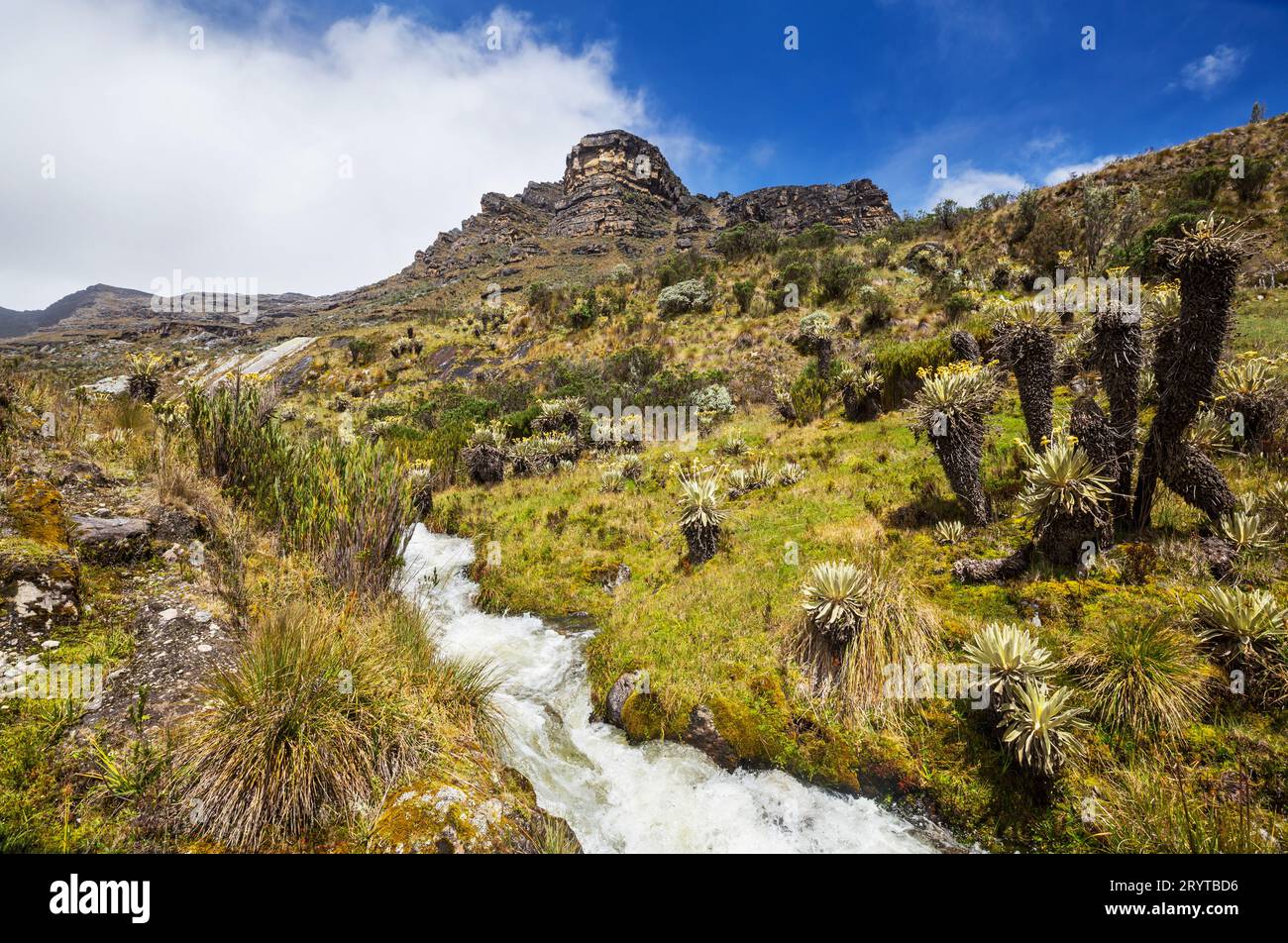 El cocuy national park hi-res stock photography and images - Alamy