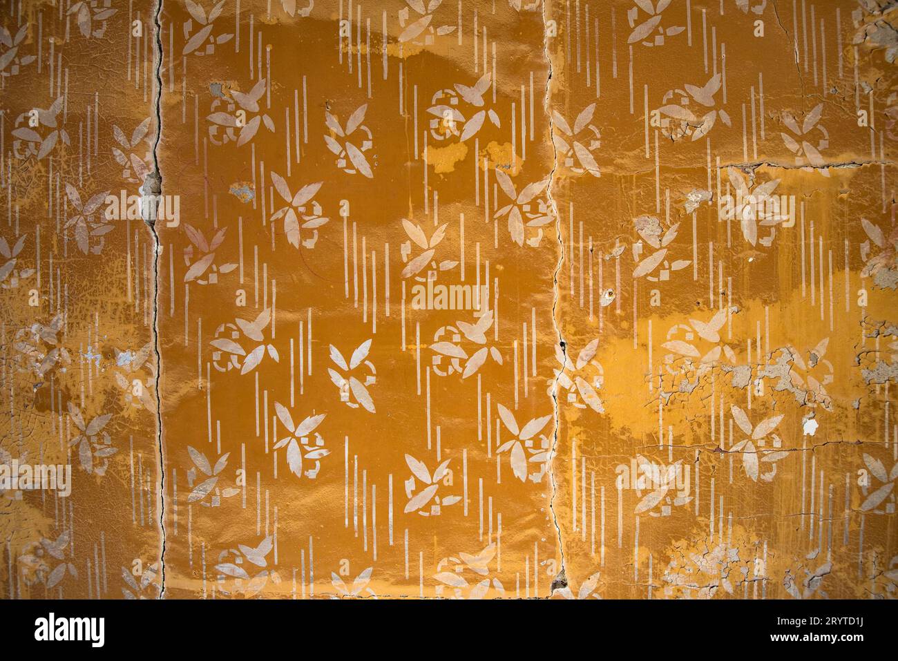 Detailed flower image hi-res stock photography and images - Alamy