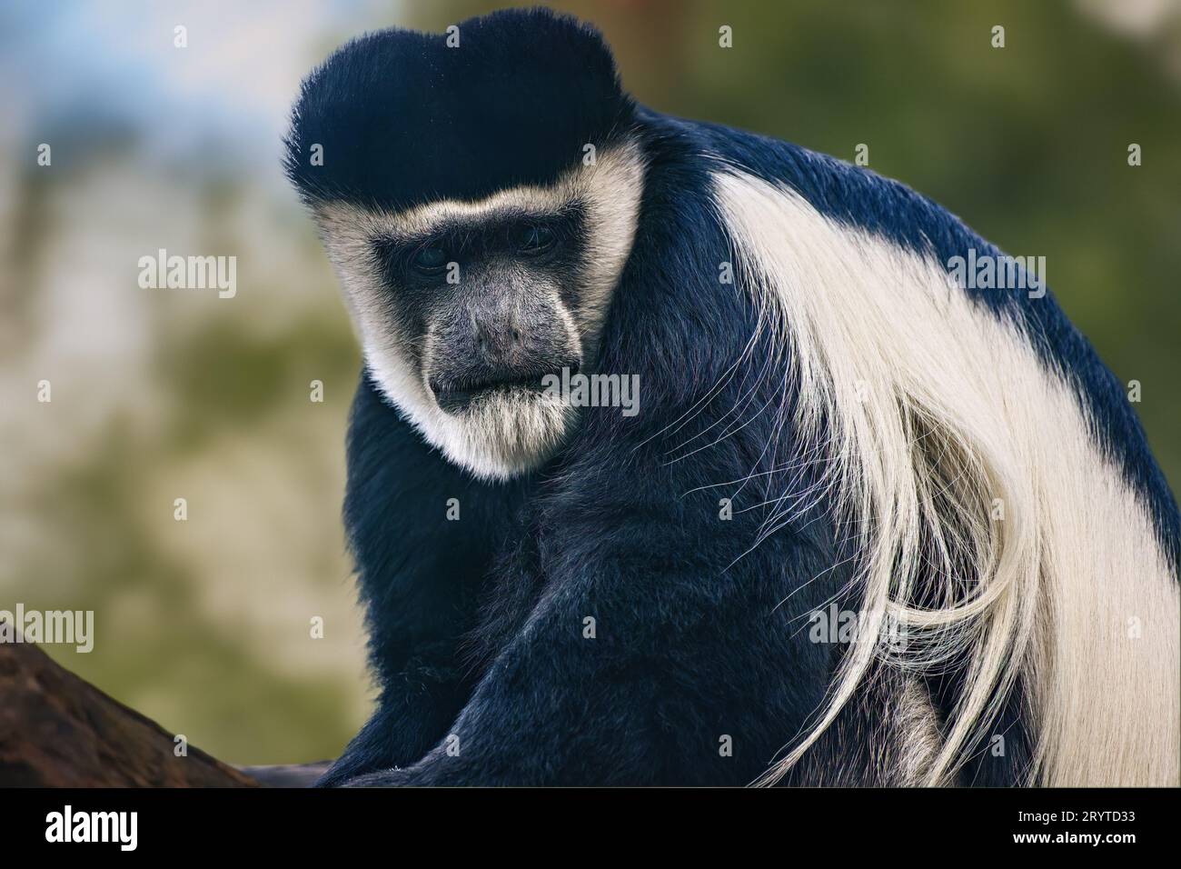Exploringly hi-res stock photography and images - Alamy